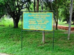 Maduru Oya National Park :: Polonnaruwa